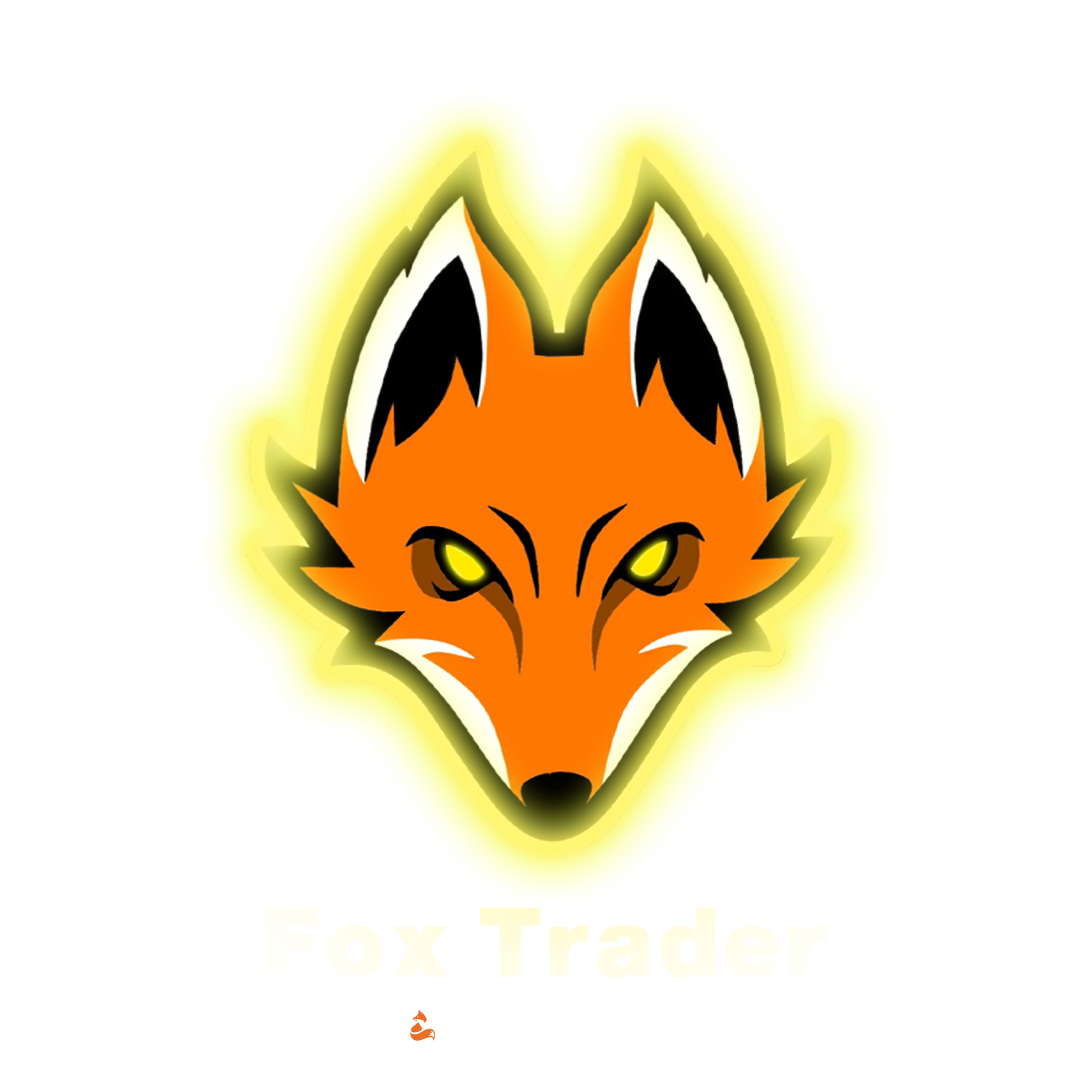 Crypto Fox Trader Course - Youness Zahir